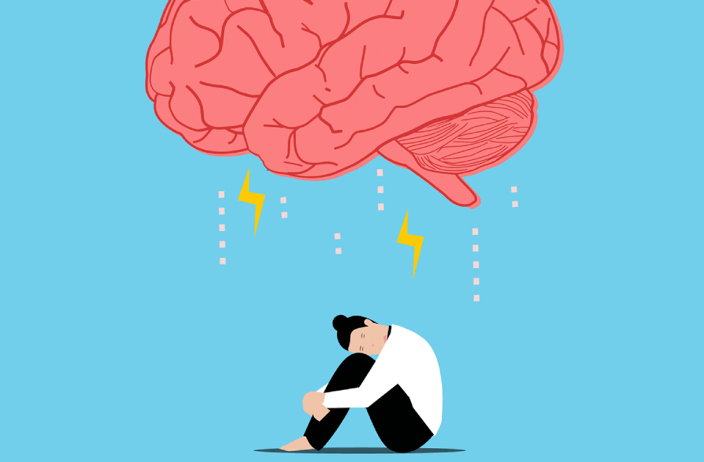 El Impacto del Estrés en el Cerebro: Descubren Moléculas Cannabinoides ...